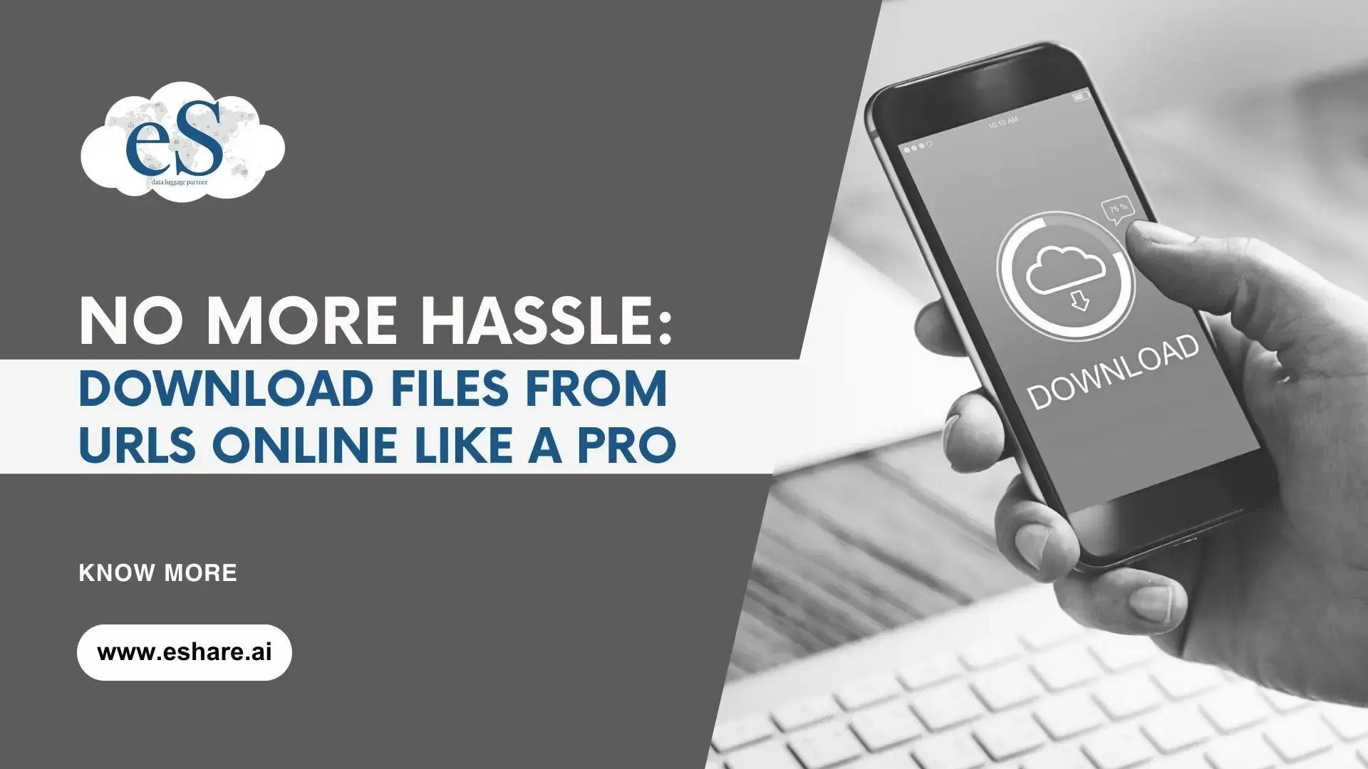 Download Files from URLs Effortlessly | Online Solution